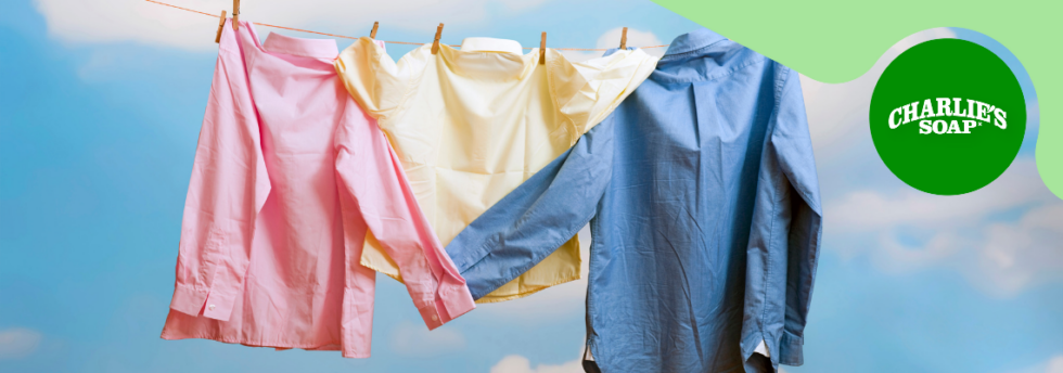 Laundry Sorting Tips for Cleaner, Fresher Clothes — Charlie's Soap